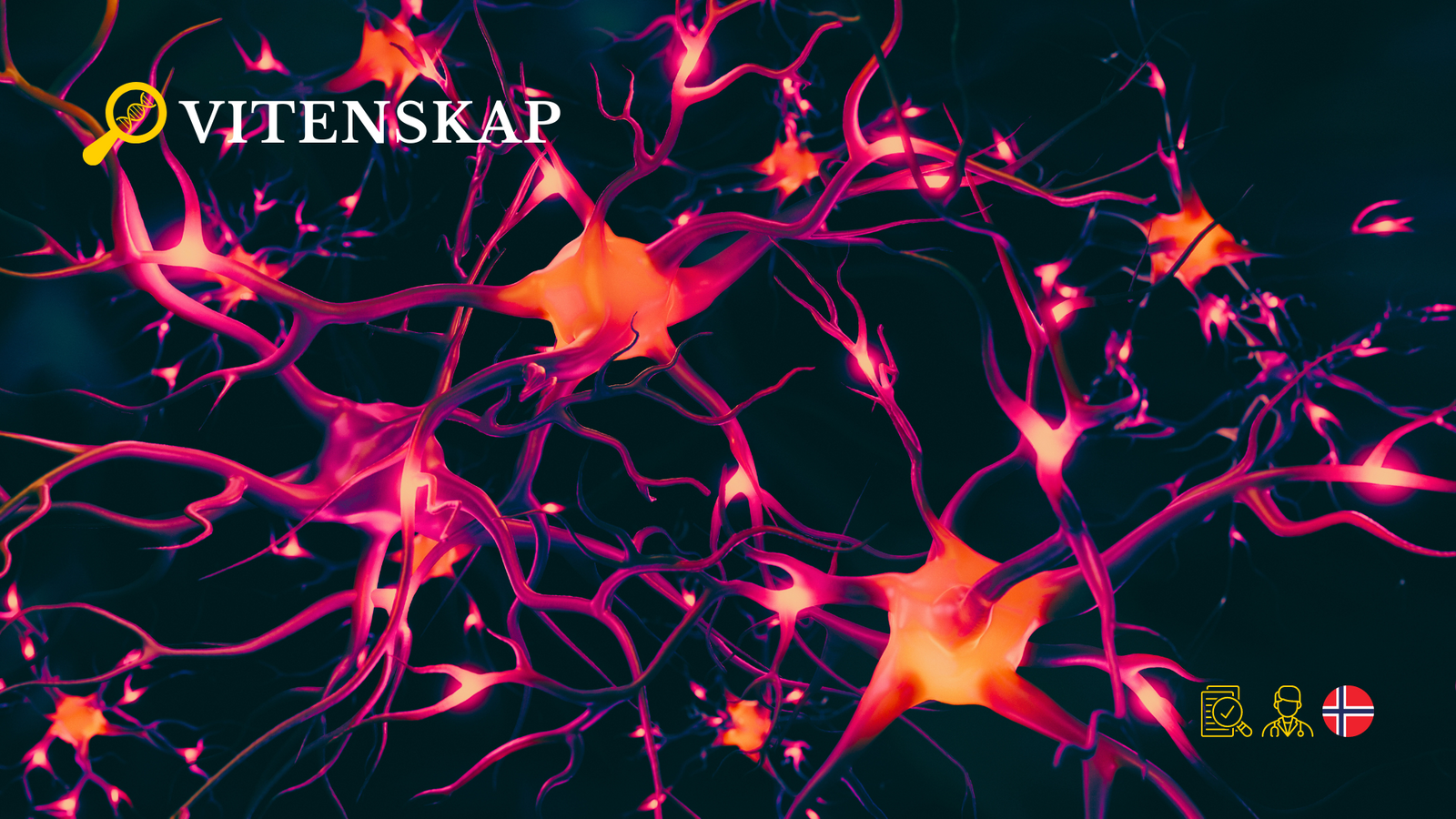 Alle produkter | AgeLab.no